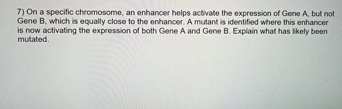 Solved On a specific chromosome, an enhancer helps activate | Chegg.com