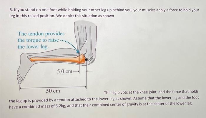 Solved 5. If you stand on one foot while holding your other | Chegg.com