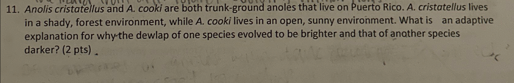 Solved Anolis cristatellus and A. ﻿cooki are both | Chegg.com