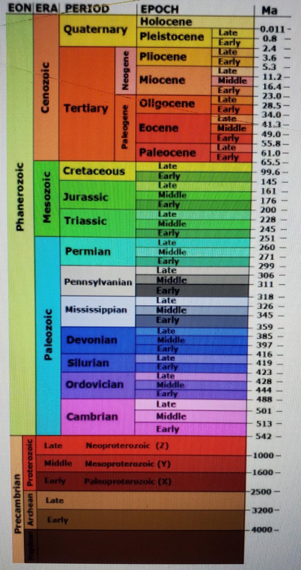 Solved You find the following fossil assemblage in a rock: A | Chegg.com