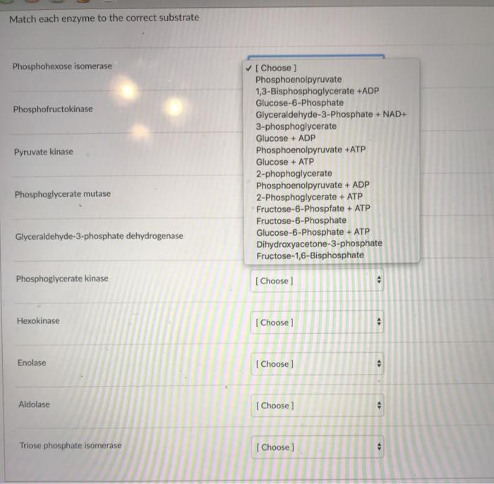 Solved Match each enzyme to the correct substrate | Chegg.com