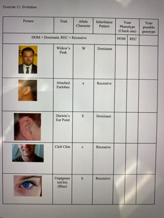 Exercise 11: Evolution Task 1: Hardy Weinberg | Chegg.com