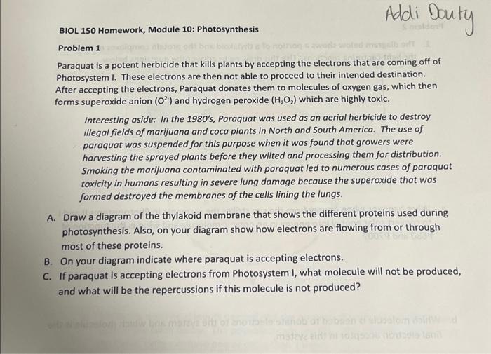 Solved BIOL 150 Homework, Module 10: Photosynthesis Problem | Chegg.com
