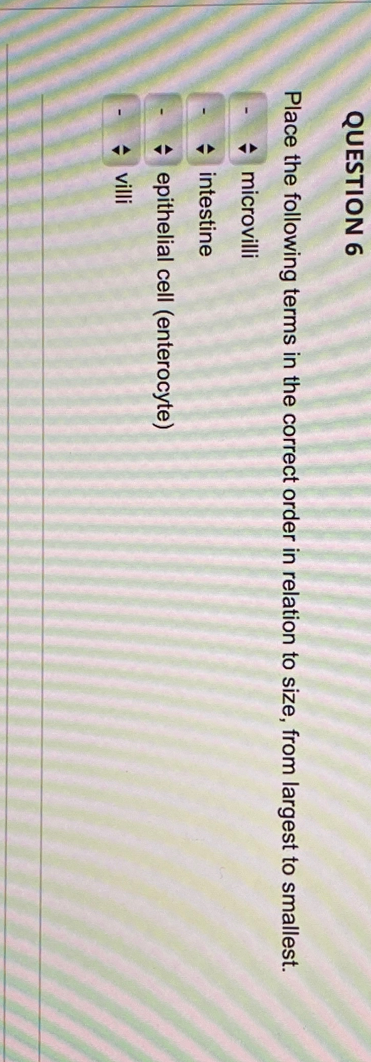Solved QUESTION 6Place the following terms in the correct | Chegg.com