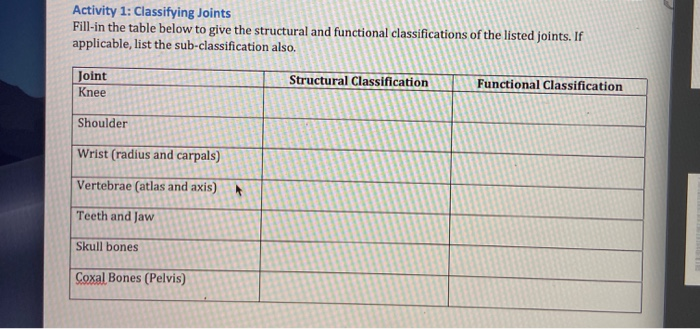 Solved Activity 1 Classifying Joints Fill In The Table 