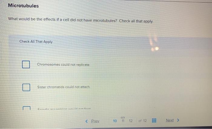 Solved Microtubules What would be the effects if a cell did | Chegg.com