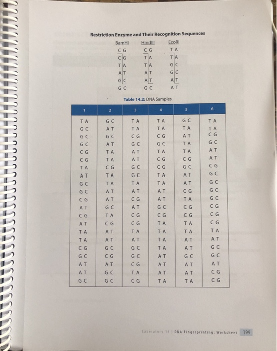 Solved 95 Restriction Enzyme and Their Recognition Sequences | Chegg.com