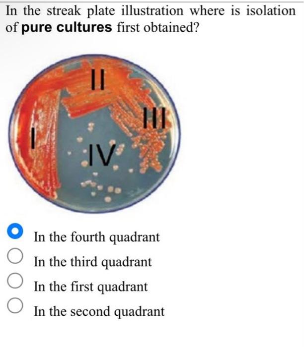 Solved In the streak plate illustration where is isolation | Chegg.com