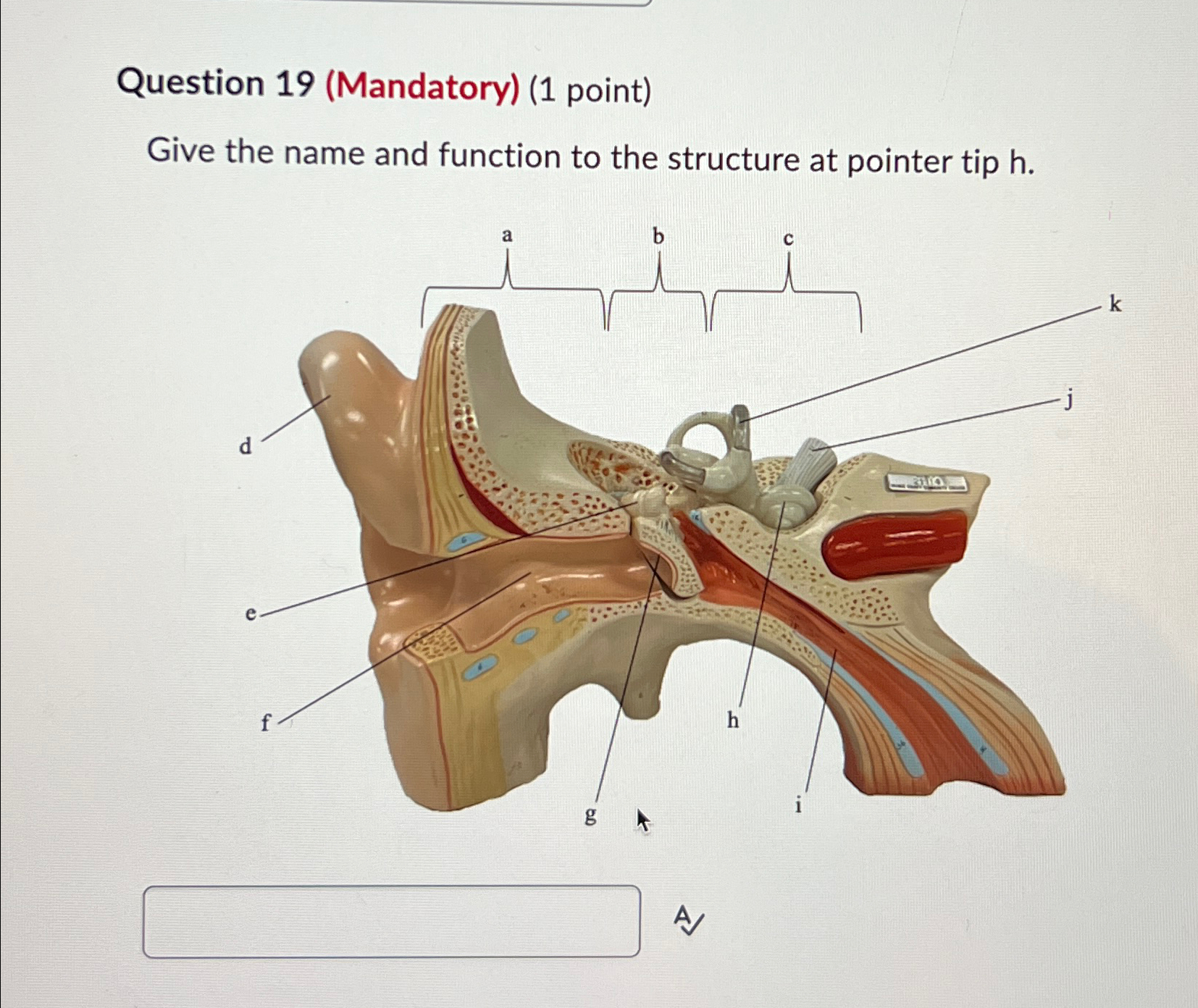 Solved Question 19 (Mandatory) (1 ﻿point)Give the name and | Chegg.com