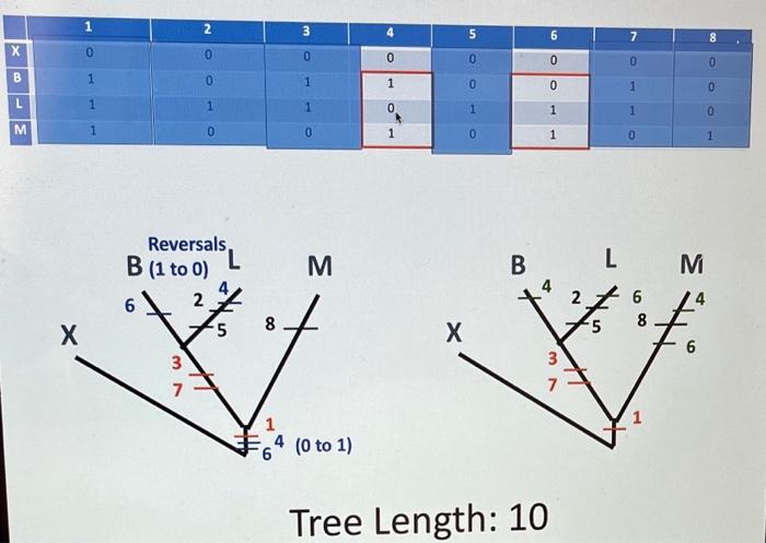 Solved Reconstruct (draw) the most parsimonious phylogeny | Chegg.com