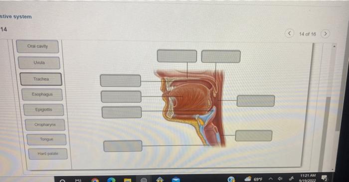 Solved stive system | Chegg.com