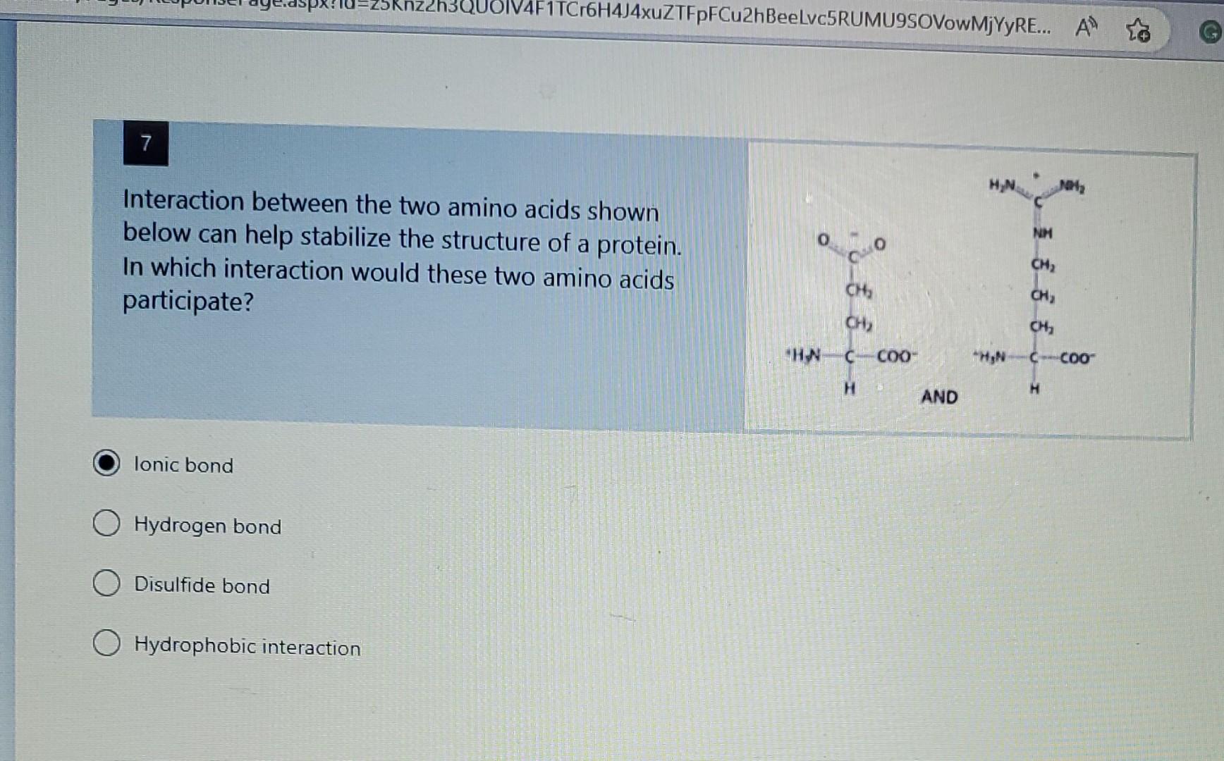 Solved Interaction between the two amino acids shown below | Chegg.com