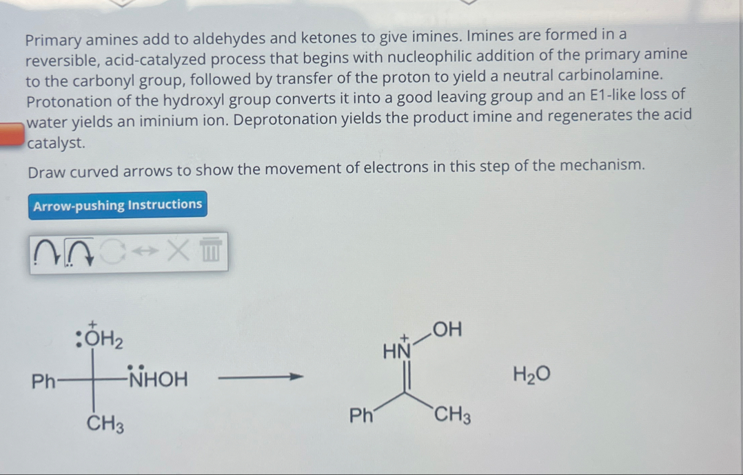 Solved Primary amines add to aldehydes and ketones to give | Chegg.com
