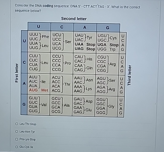 Solved Consider the DNA coding sequence: DNA 5' - ﻿CTT ACT | Chegg.com