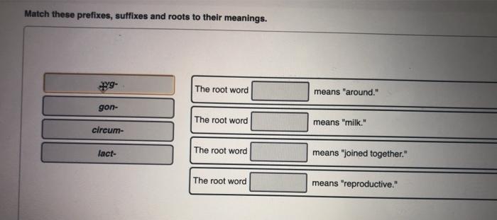 Solved Match these prefixes, suffixes and roots to their | Chegg.com