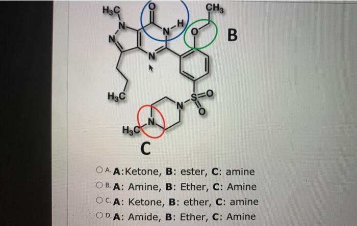 Solved Identify the circled functional groups (A,B and C) in | Chegg.com