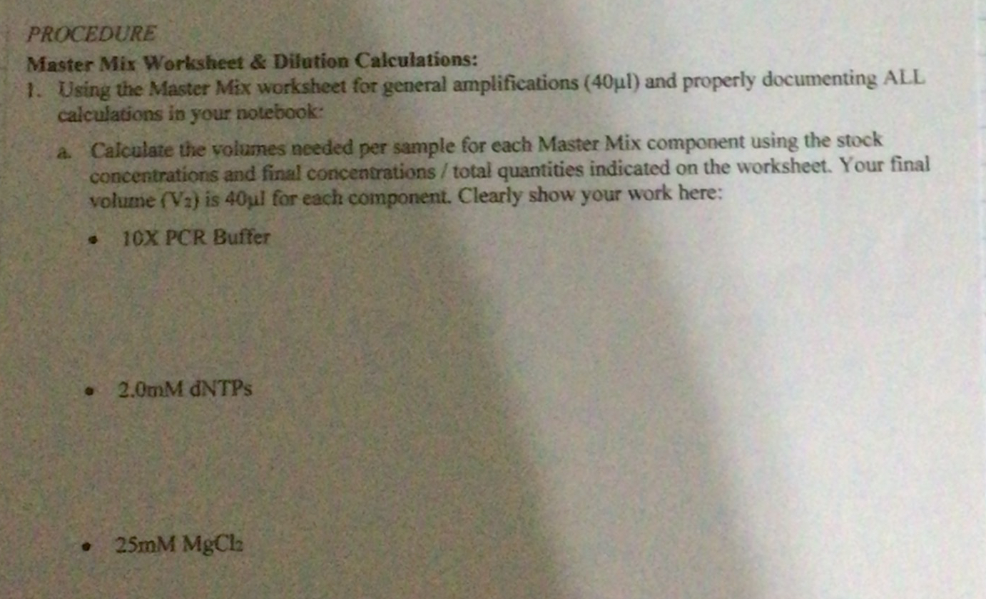 Solved PROCEDURE\\nMaster Mix Worksheet & Difution | Chegg.com