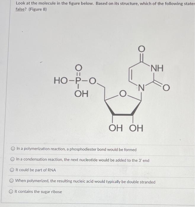 Solved Catalase is an enzyme in peroxisomes that breaks down | Chegg.com