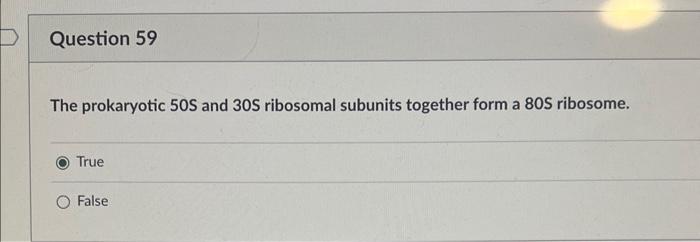 Solved The prokaryotic 50 S and 30 S ribosomal subunits | Chegg.com