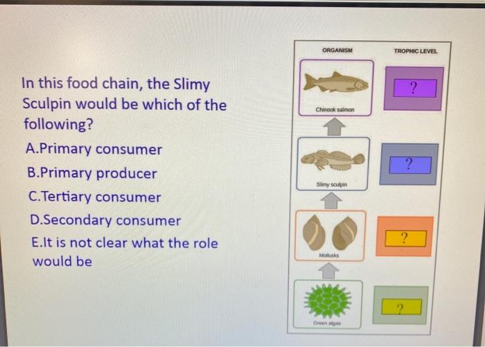 Solved ORGANISM TROPHIC LEVEL ? Chinook salmon In this food | Chegg.com