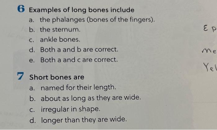 Solved 6 Examples of long bones include a. the phalanges | Chegg.com