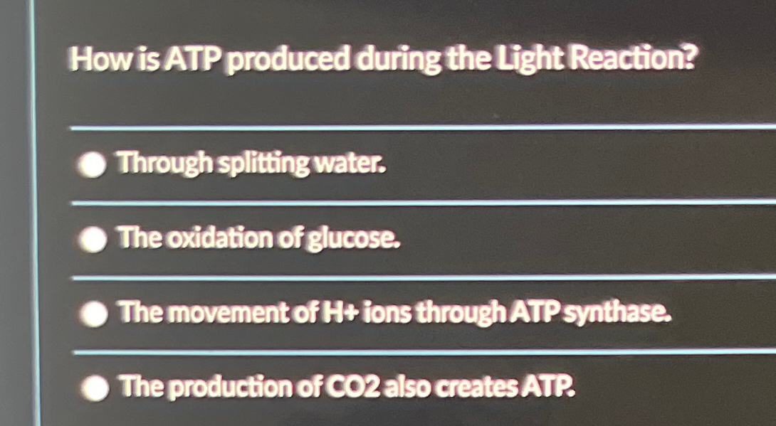 Solved How is ATP produced during the Light Reaction?Through | Chegg.com