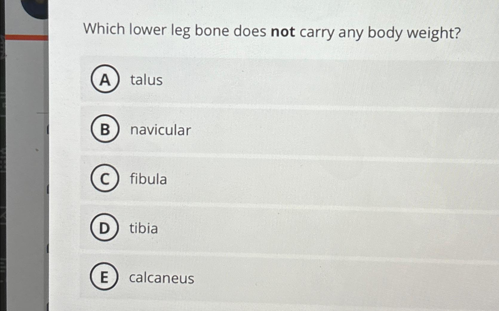 Solved Which lower leg bone does not carry any body | Chegg.com