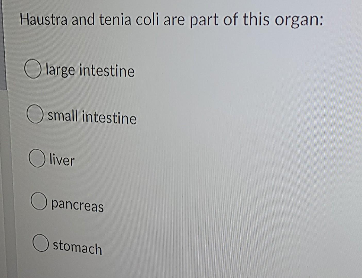 Solved Haustra and tenia coli are part of this organ: O | Chegg.com
