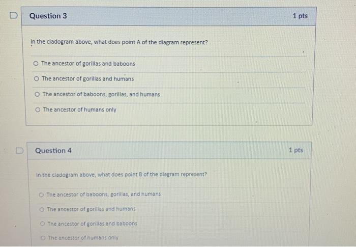 Solved For Questions 2a-2c, refer to the | Chegg.com