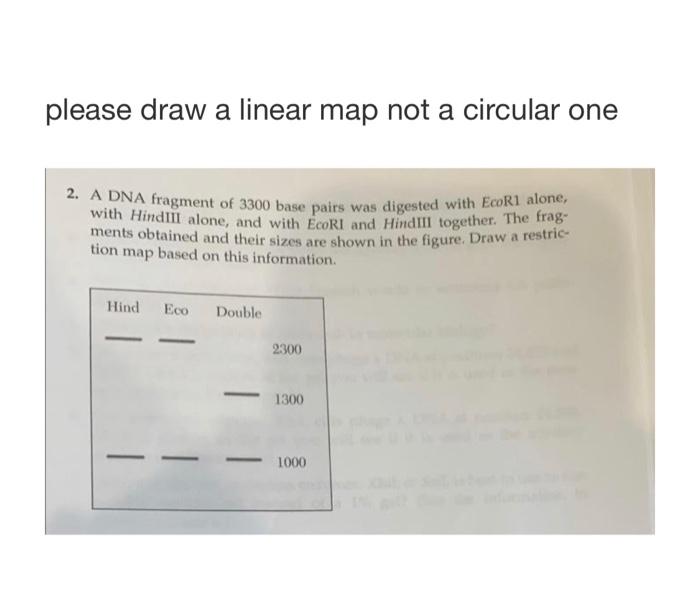 Solved please draw a linear map not a circular one 2. A DNA | Chegg.com