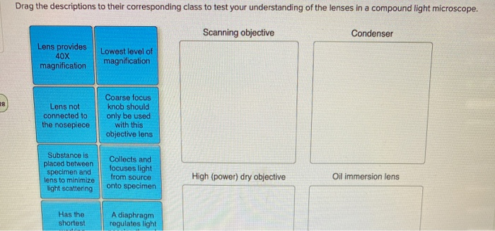 Solved Drag the descriptions to their corresponding class to | Chegg.com