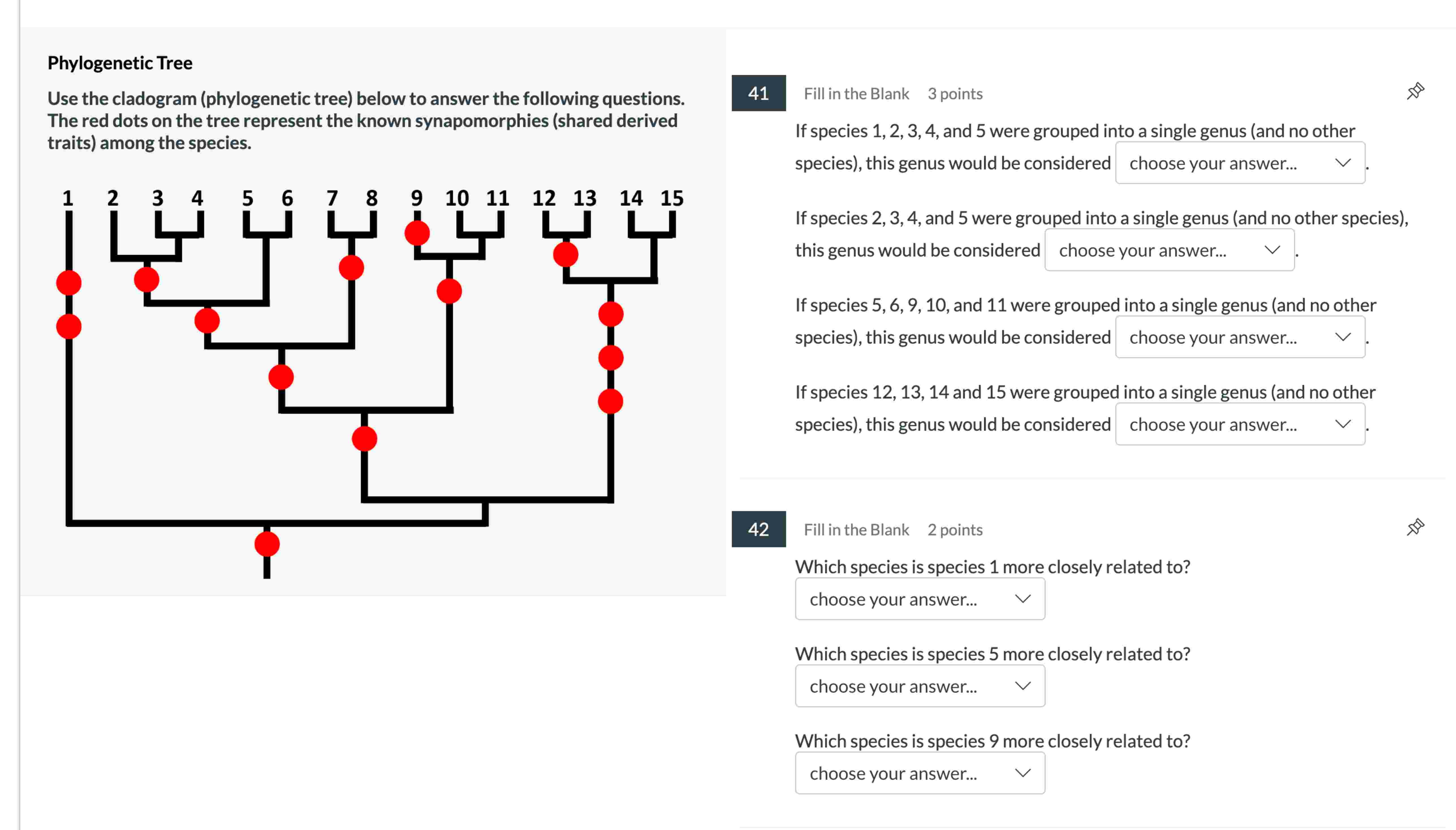Solved 41 ﻿Fill in the Blank 3 ﻿pointsIf species 1, 2, 3, 4, | Chegg.com