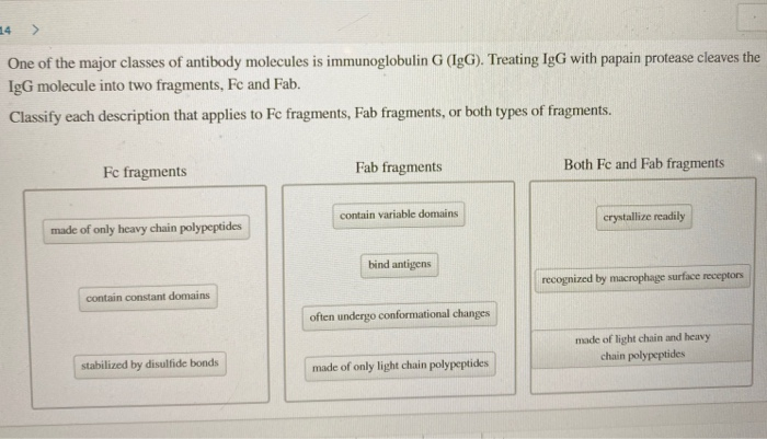 Solved classify each description that applies to fc | Chegg.com