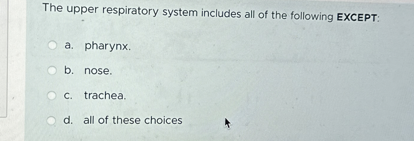 Solved The upper respiratory system includes all of the | Chegg.com