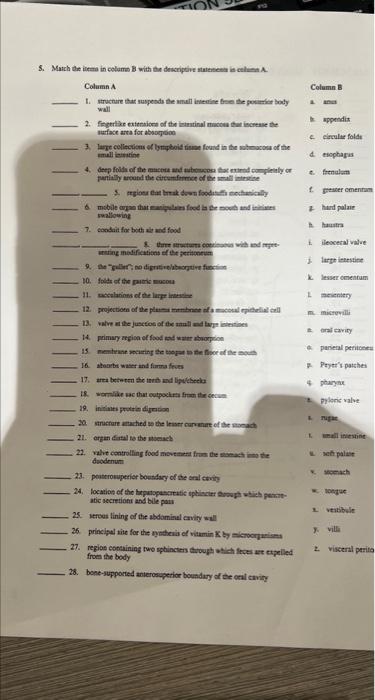 Solved 5. Match dee ilema in colume B with the descripeive | Chegg.com