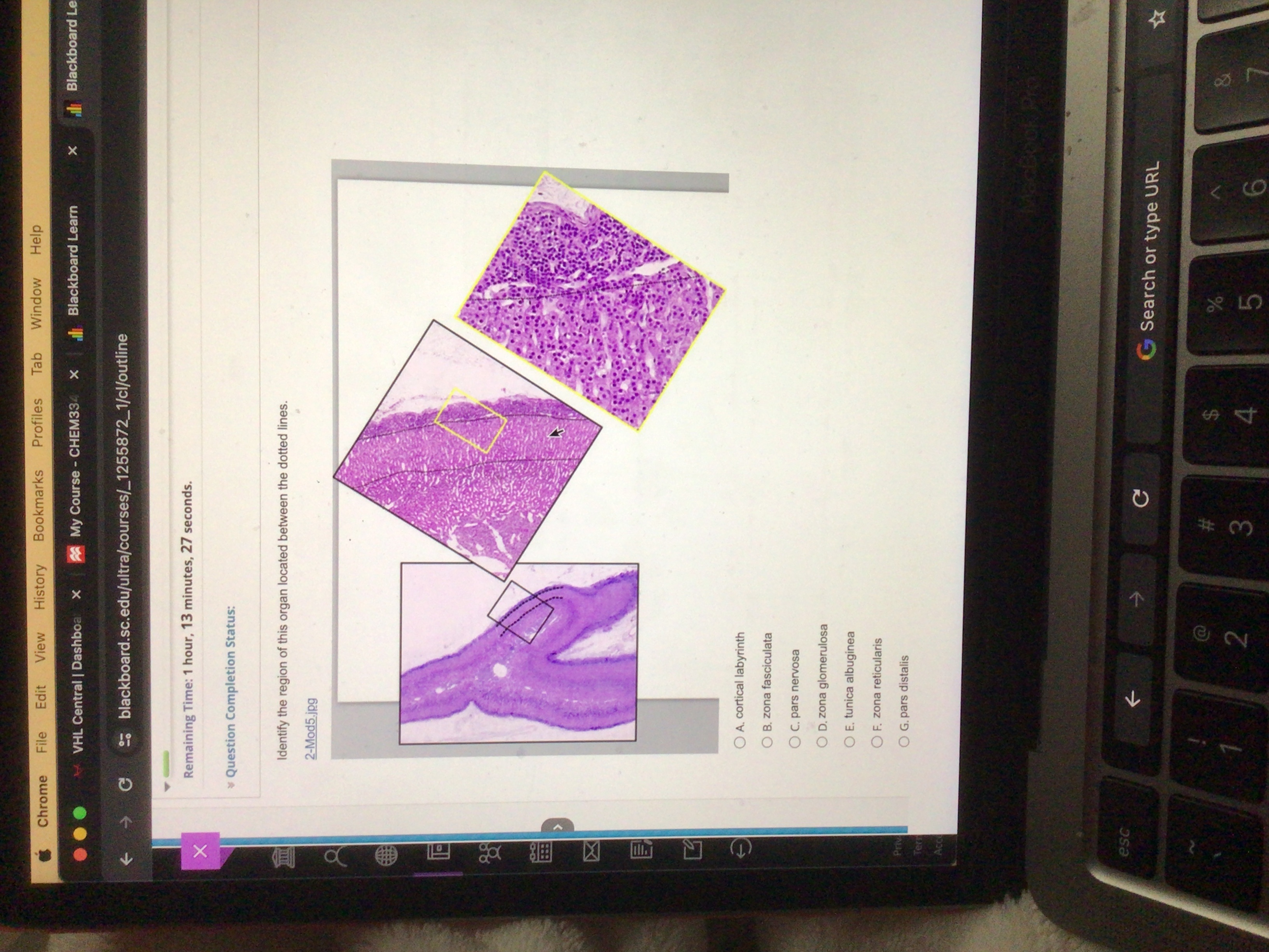 Solved Question Completion Status:Identify the region of | Chegg.com