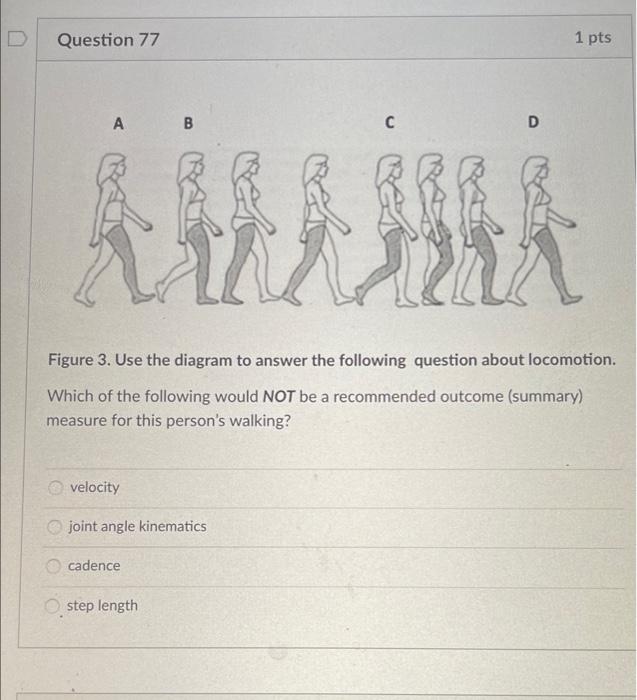 Solved 1 pts Question 77 A B C D AWWUWW A Figure 3. Use the | Chegg.com