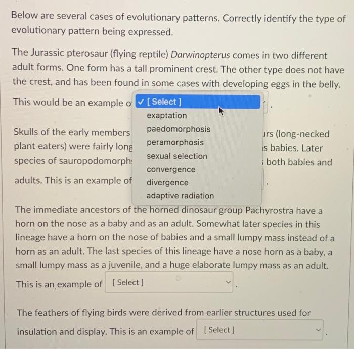 Solved Below are several cases of evolutionary patterns. | Chegg.com