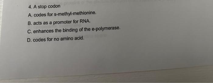 Solved 4. A stop codon A. codes for s-methyl-methionine. B. | Chegg.com