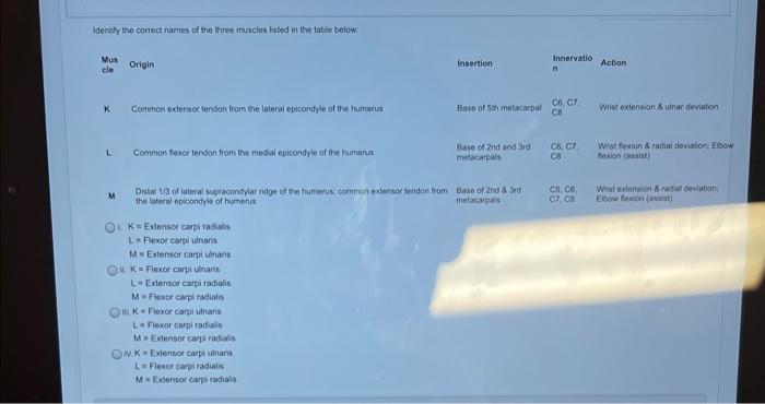 Solved Idectity the correct names of the thice mascles | Chegg.com