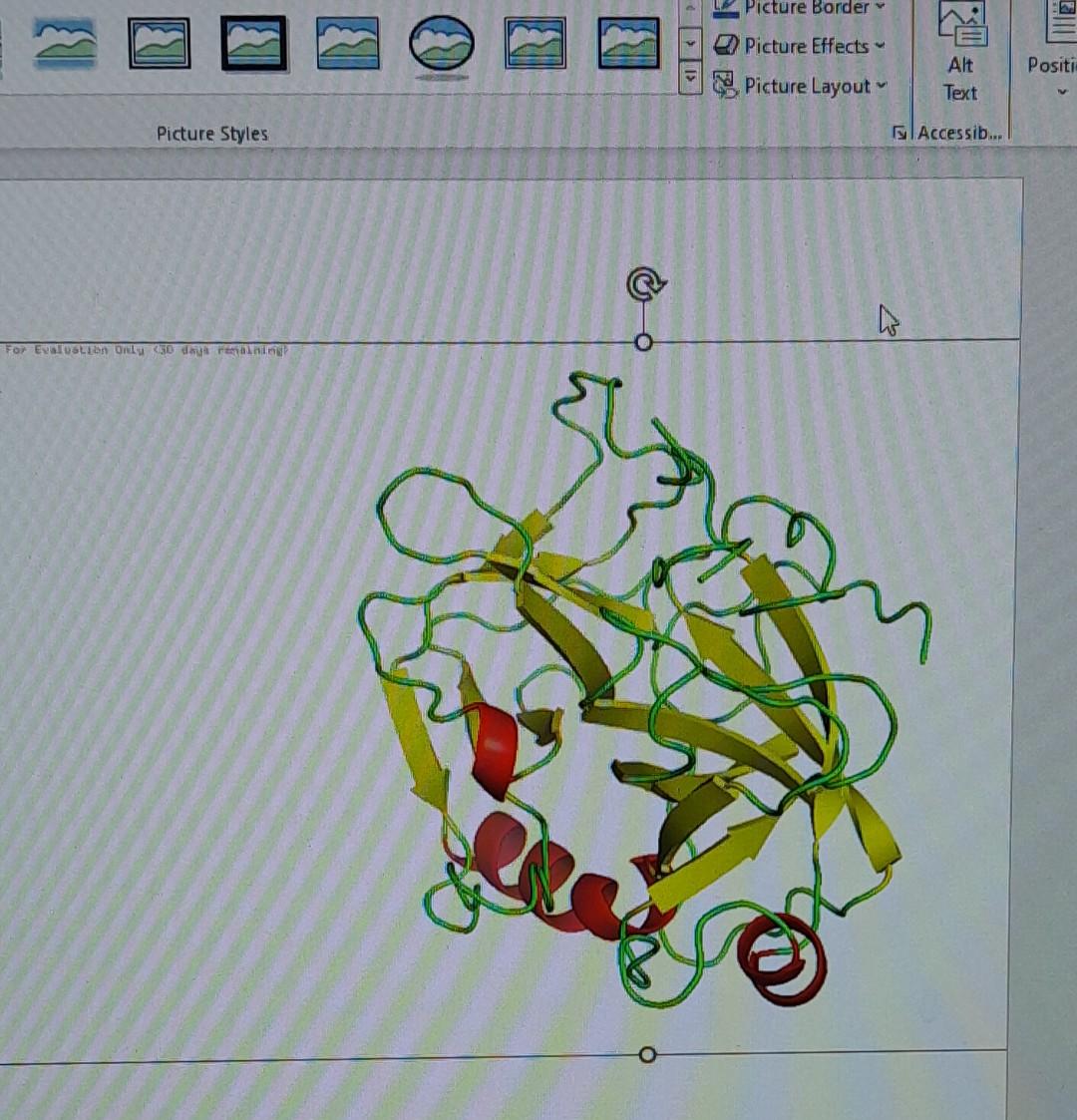 Solved How many alpha helices and beta sheets in this | Chegg.com