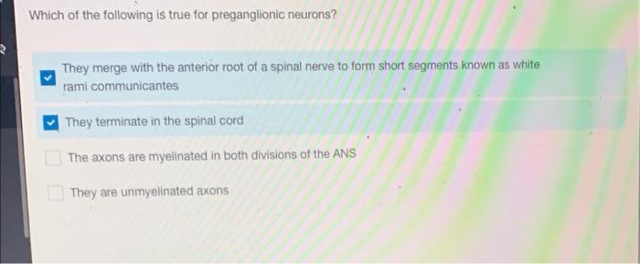 Solved Which of the following is true for preganglionic | Chegg.com