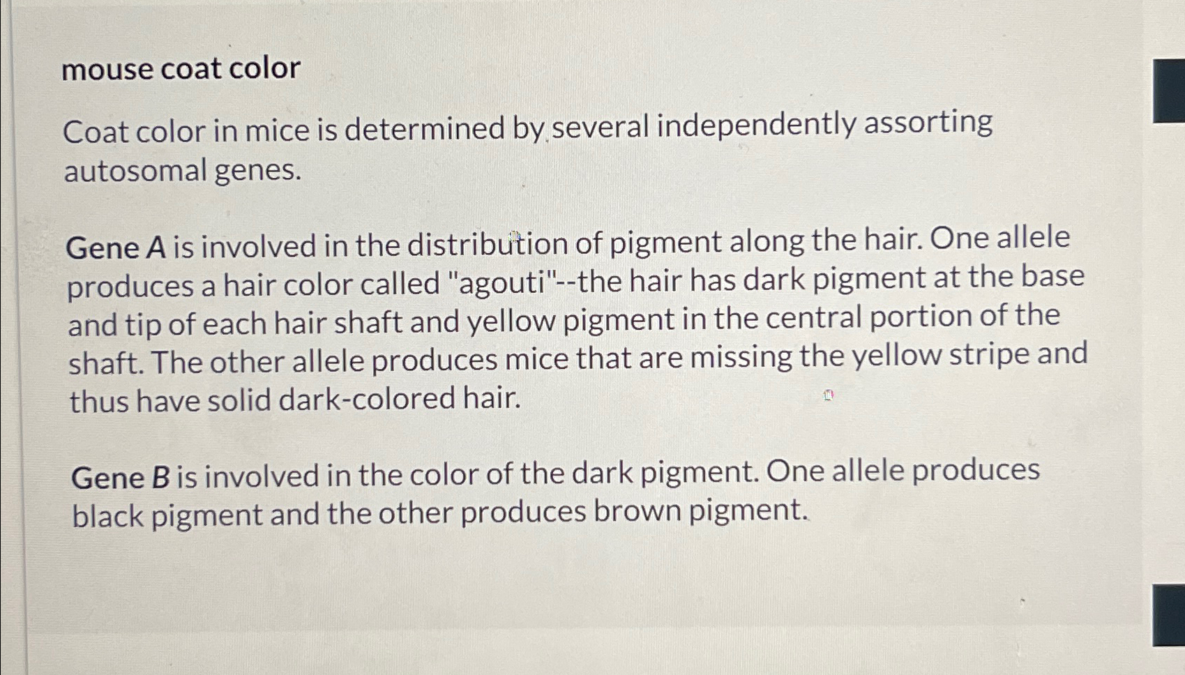 Solved mouse coat colorCoat color in mice is determined by | Chegg.com