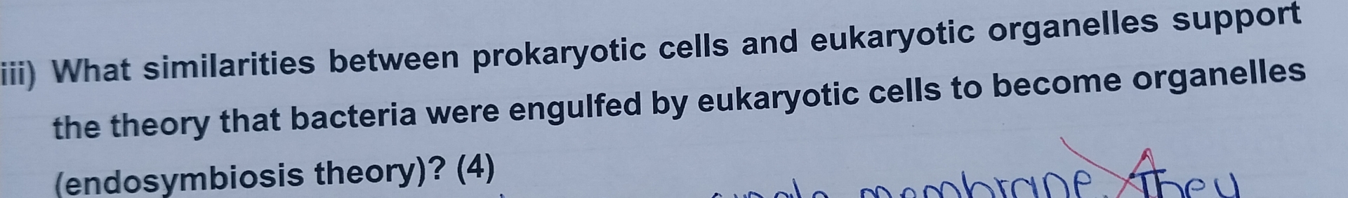 Solved iii) ﻿What similarities between prokaryotic cells and | Chegg.com