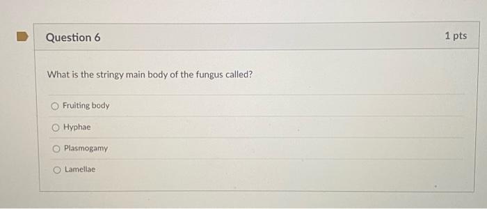 Solved Question 6 1 pts What is the stringy main body of the | Chegg.com