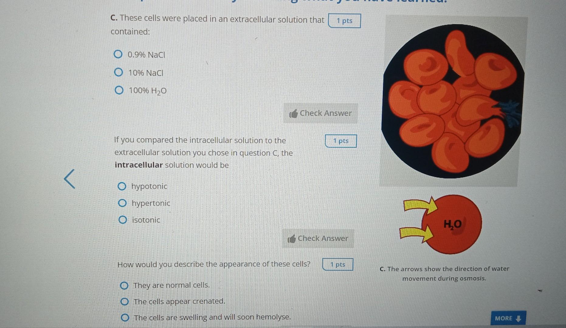 Solved C. These cells were placed in an extracellular | Chegg.com