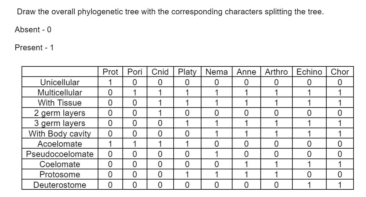 Solved Draw The Overall Phylogenetic Tree With The