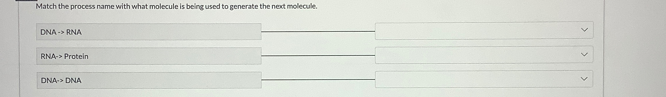 Solved Match the process name with what molecule is being | Chegg.com