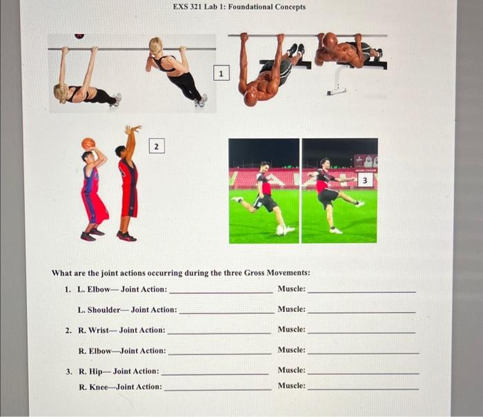 Solved EXS 321 Lab 1: Foundational Concepts What are the | Chegg.com
