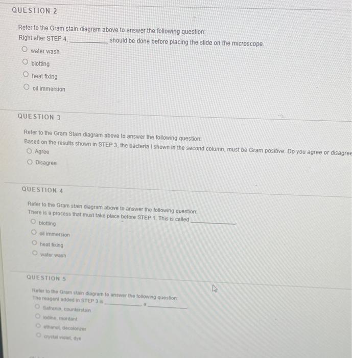 Solved Refer is the Gram stain diagi abose to ansener the | Chegg.com
